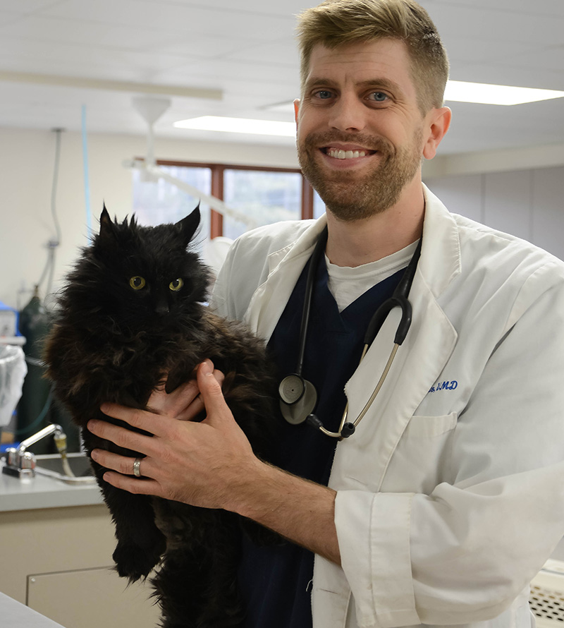 Veterinarian in Ebensburg | Vets Near Me | Ebensburg Animal Hospital